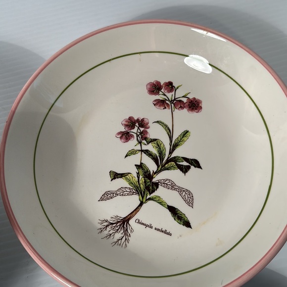 Primula | Dining | Primula Plate Made In Italy Salad Plates Pasta ...